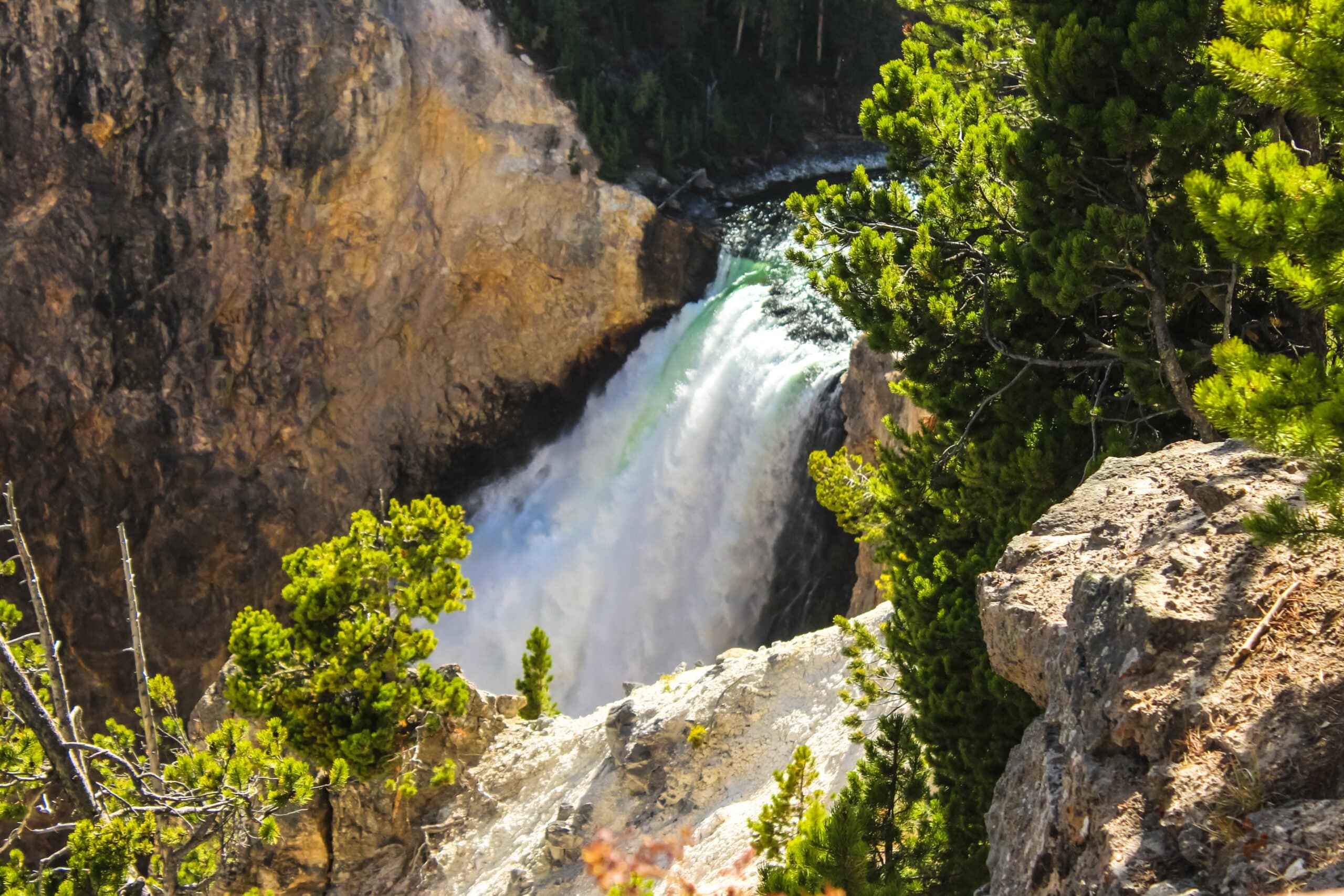 Visiting Yellowstone – Hunter Winterton Photography Visiting Yellowstone – Hunter Winterton Photography